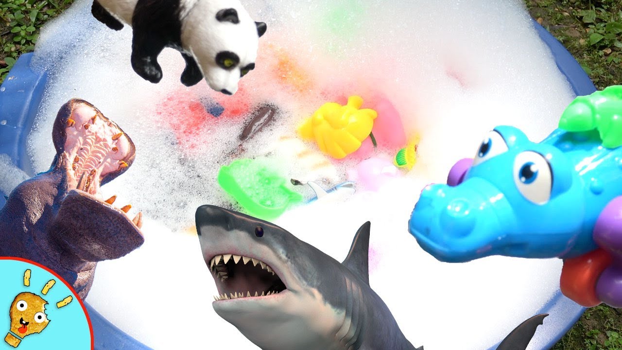 Fun Learning For Kids! Colors and Real Animals In Sudsy Tub by Squishee ...