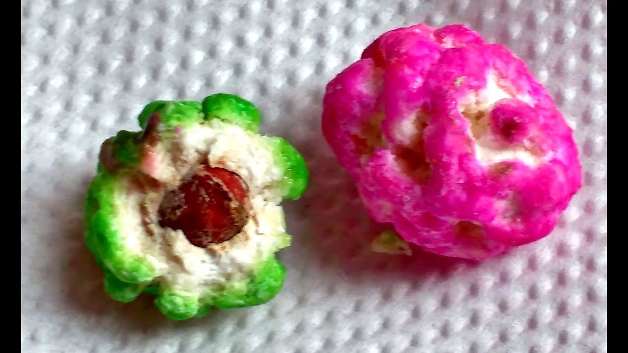 Colaciones: El Recuerdo - YouTube