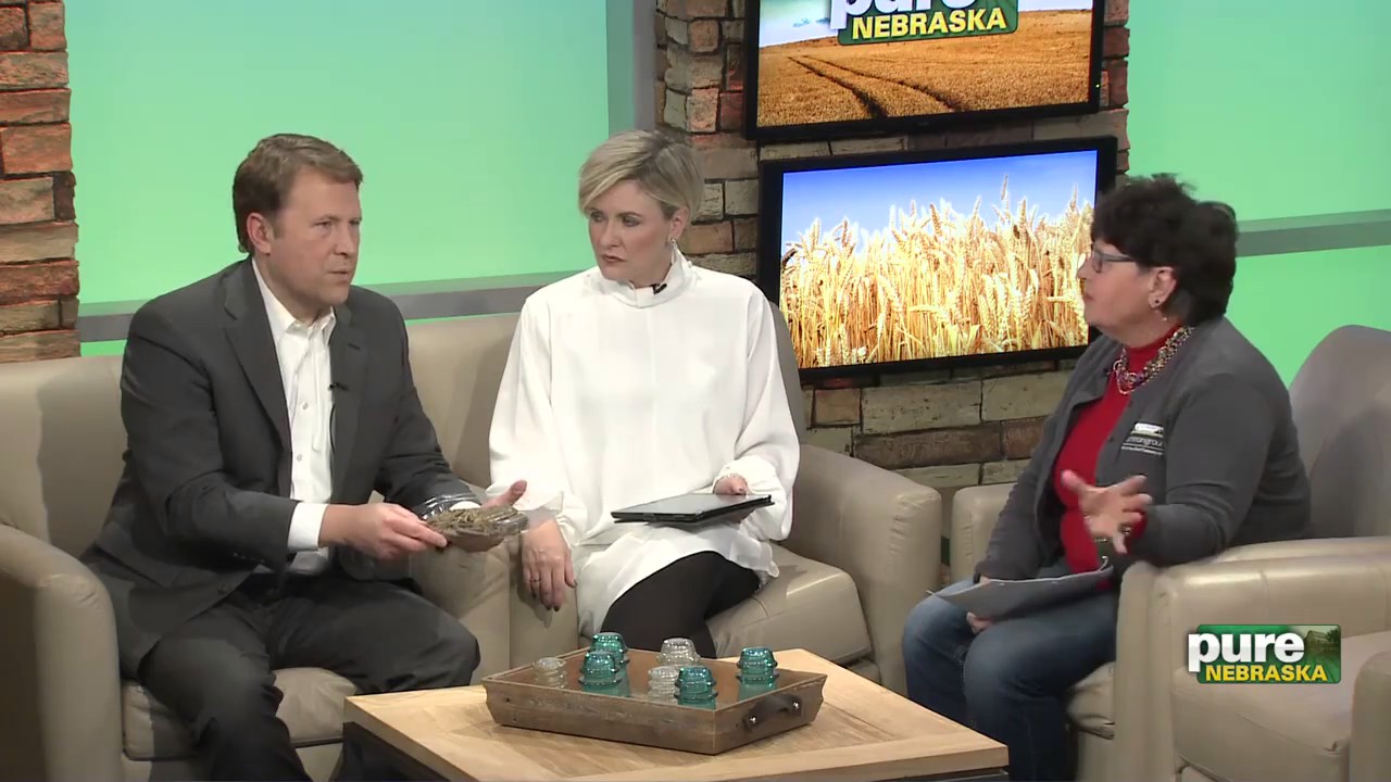 Pure Nebraska Spotlight Pellet Technology USA [HD] - YouTube
