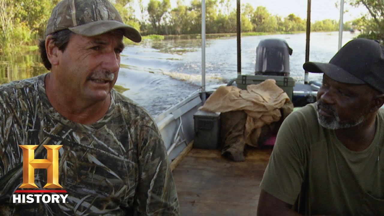Swamp People: Alligators Prey on Frenchy's Cows (Season 10) | History ...