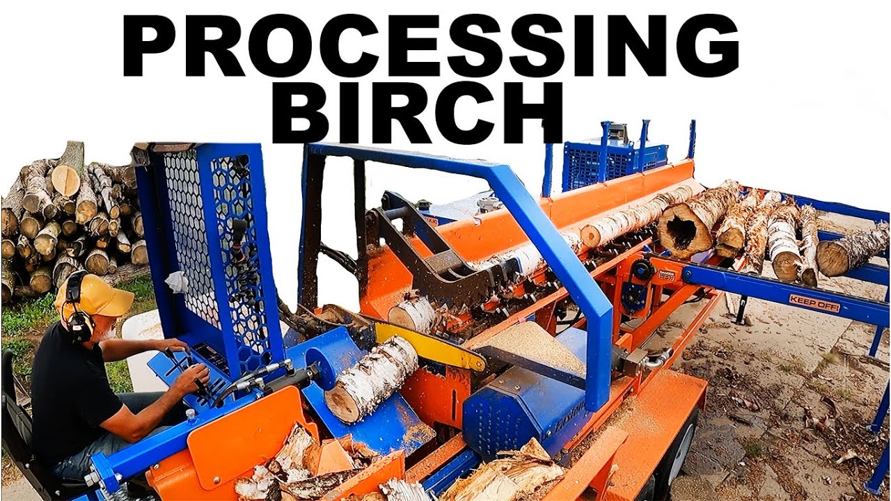 EASTONMADE 22MB FIREWOOD PROCESSOR CUTTING AND SPLITTING BIRCH! - YouTube