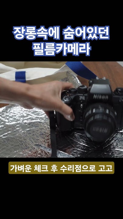 장롱속에 숨어 있던 필름카메라 니콘fm2 니콘f4 Youtube