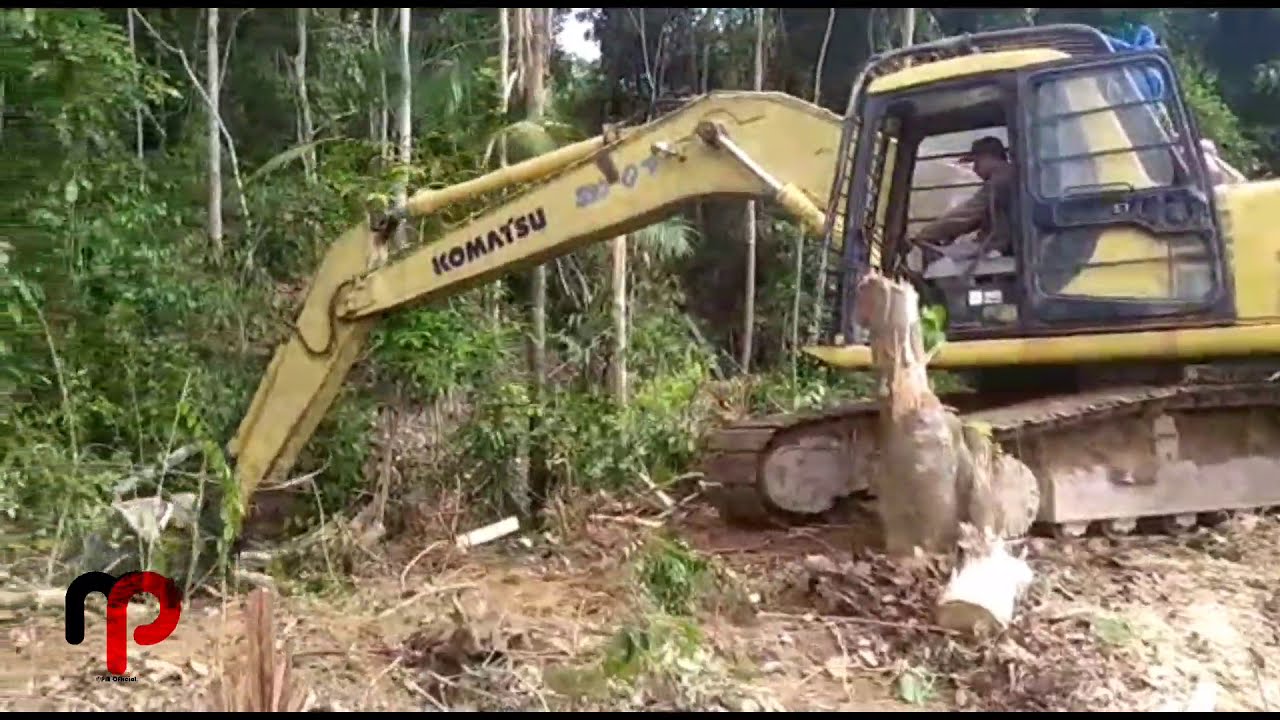 PEMBUKAAN LAHAN KELAPA SAWIT MENGGUNAKAN EXCAVATOR - YouTube