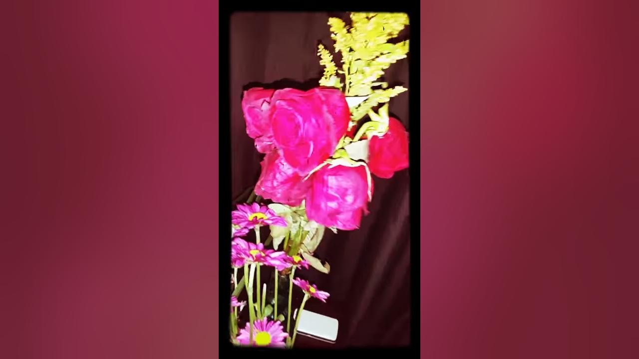 Morticia Addams Trimming Cutting Head Of Roses Youtube