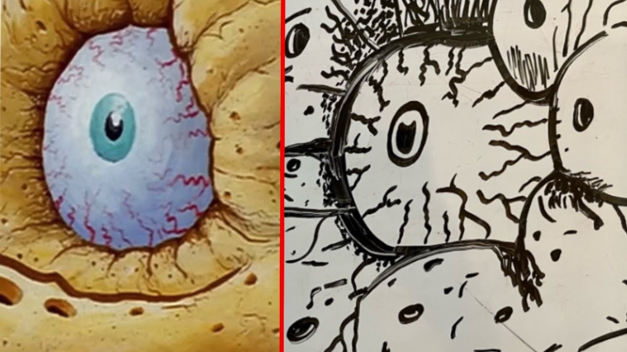 I Redrew the BEST MEMES from S1 E1 of SpongeBob - YouTube