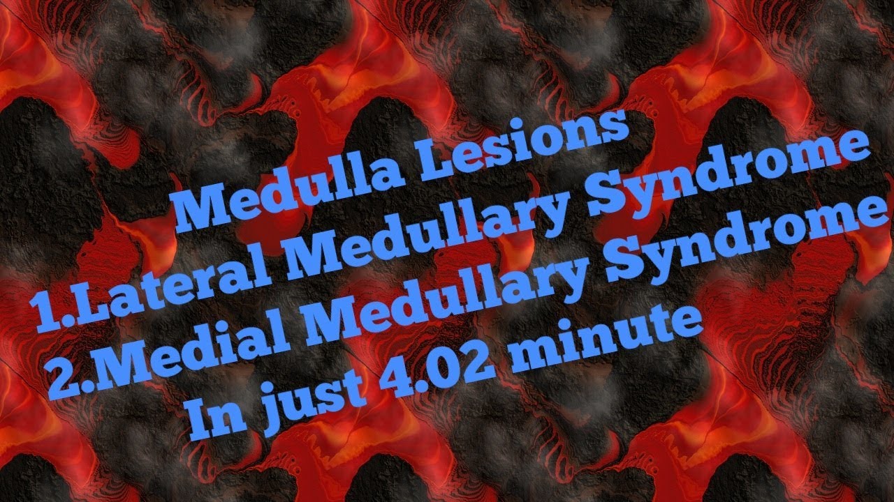 medulla-lesions-medial-and-lateral-medullary-syndrome-in-hindi-youtube