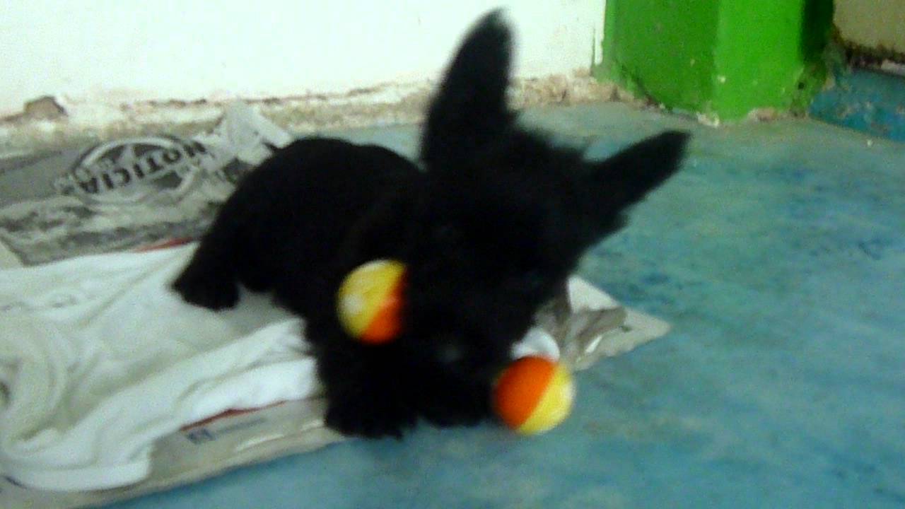 hades bebe - YouTube