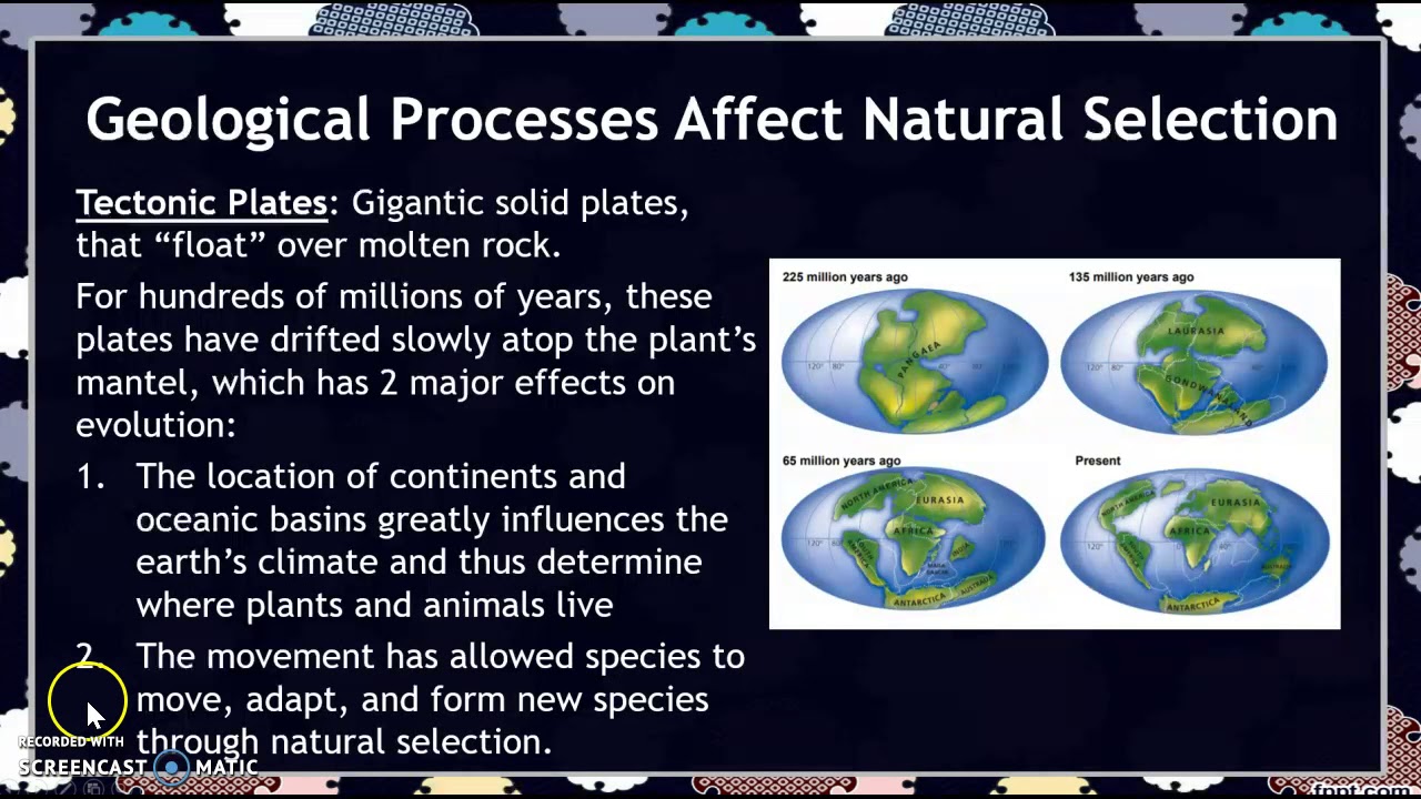 APES PPT Video Notes: Ch. 4-3 - YouTube