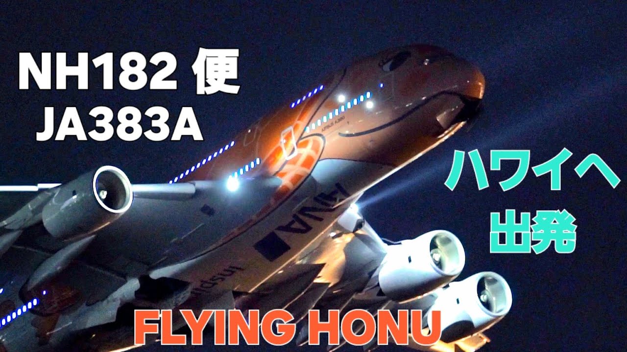 RJAA成田空港 NightView ホヌのラーちゃんNH182便でハワイへ元気に出発した”全日空All Nippon Airways ...
