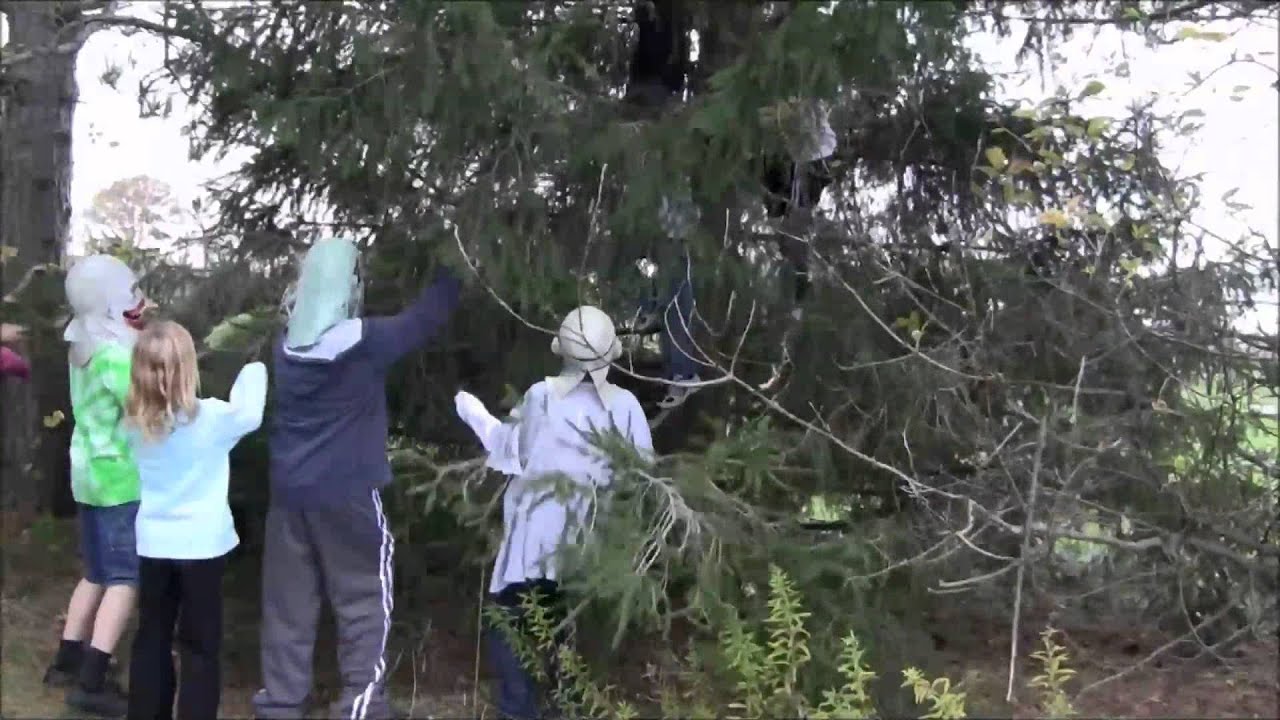 Zombie Days Official Trailer - YouTube