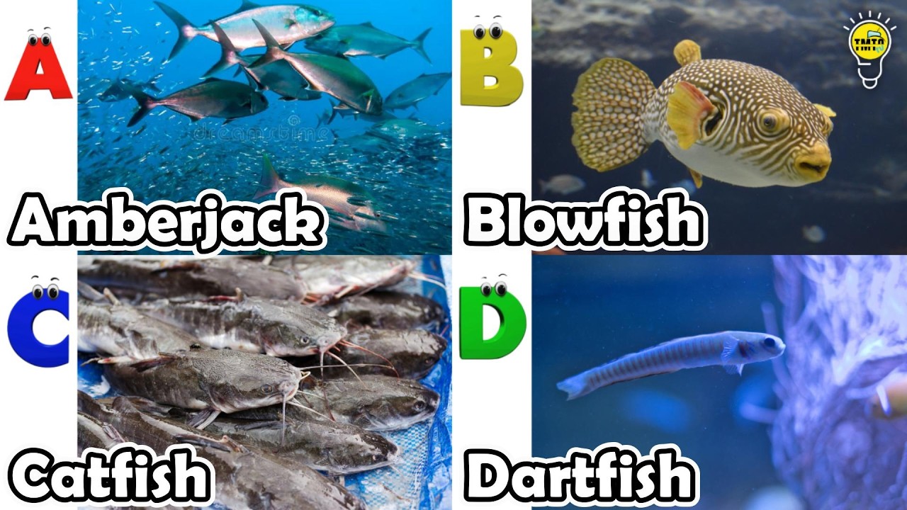 Sea animals for kids | ABC phonics animals | ABC Sea Animals song ...