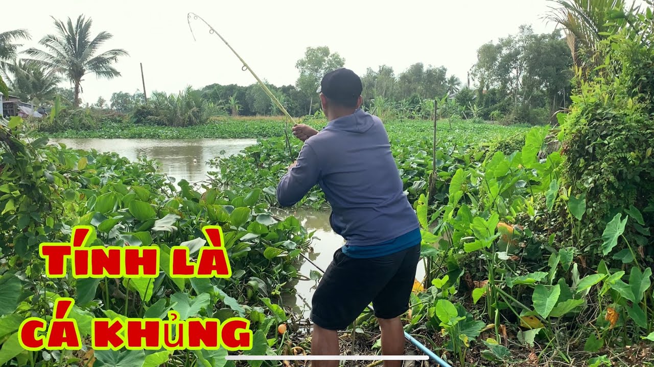 Câu Cá Tra Sông - Có Dính Cá Không Móm Là Vui Nha | Fishing - Miền Tây ...