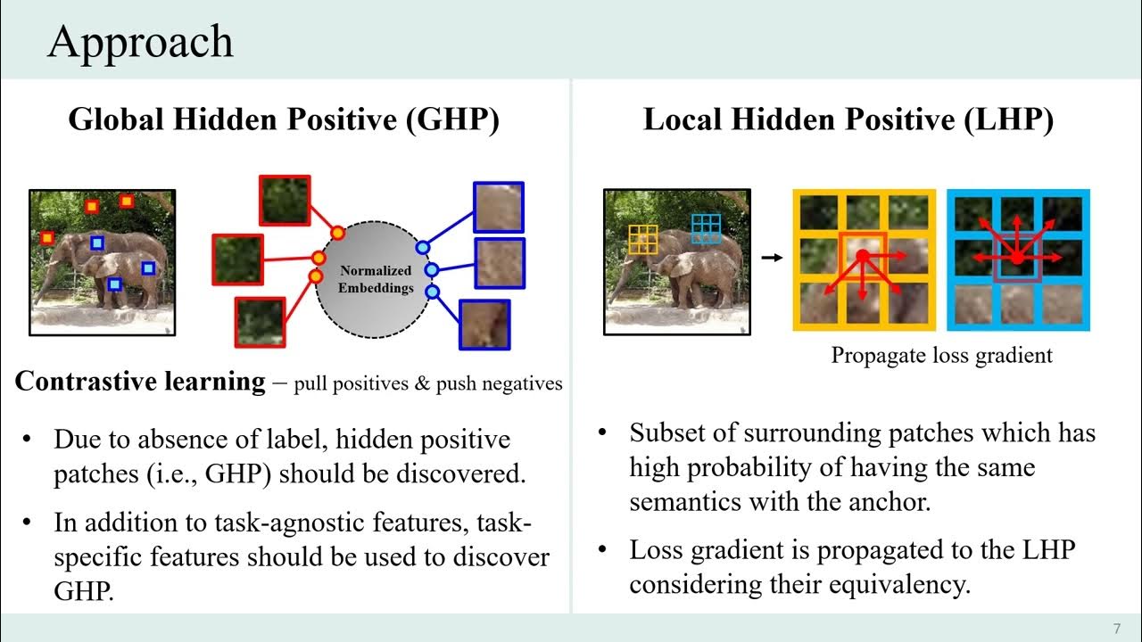 Leveraging Hidden Positives for Unsupervised Semantic Segmentation - YouTube