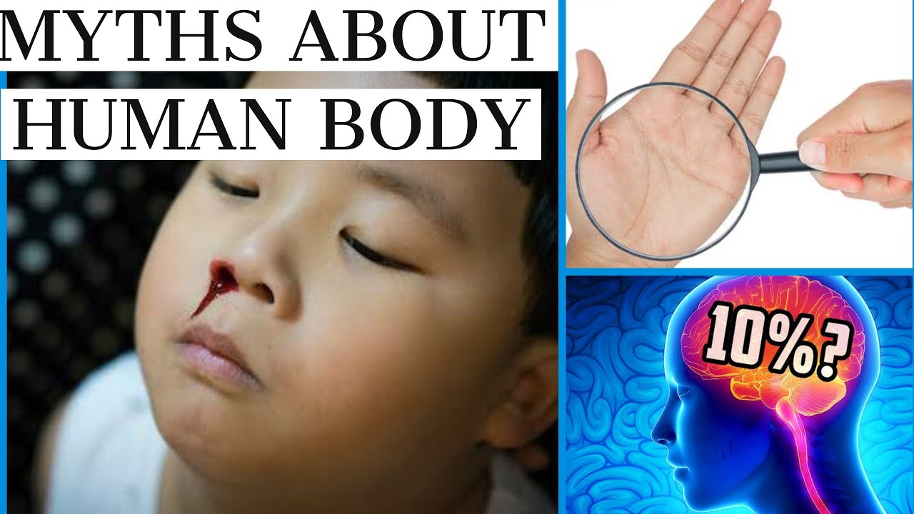 TOP 10 MYTHS ABOUT HUMAN BODY IN HINDI YouTube top-10-myths-about-human-body-in-hindi-youtube