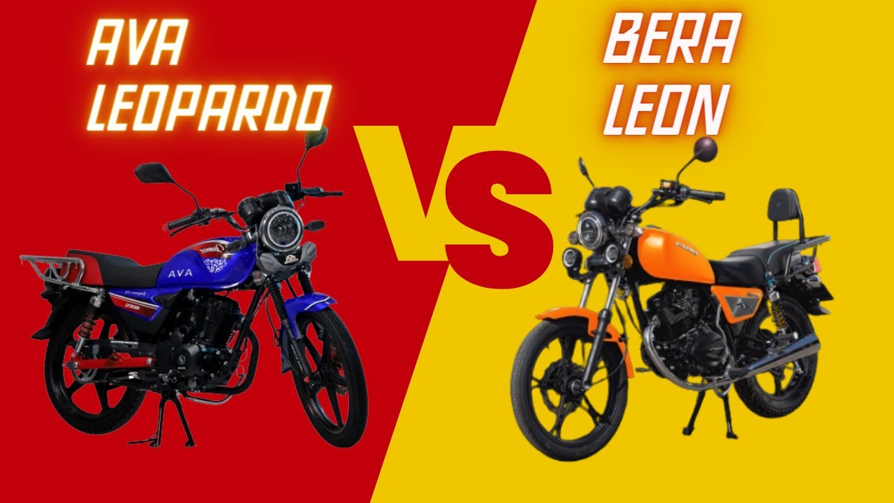 AVA LEOPARDO vs BERA LEON - Cual es Mejor? - YouTube
