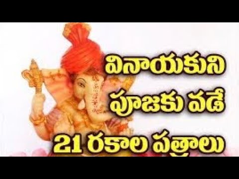 Vinayaka 21 patri names in Telugu | 21 Patri for Ganesh pooja in Telugu ...