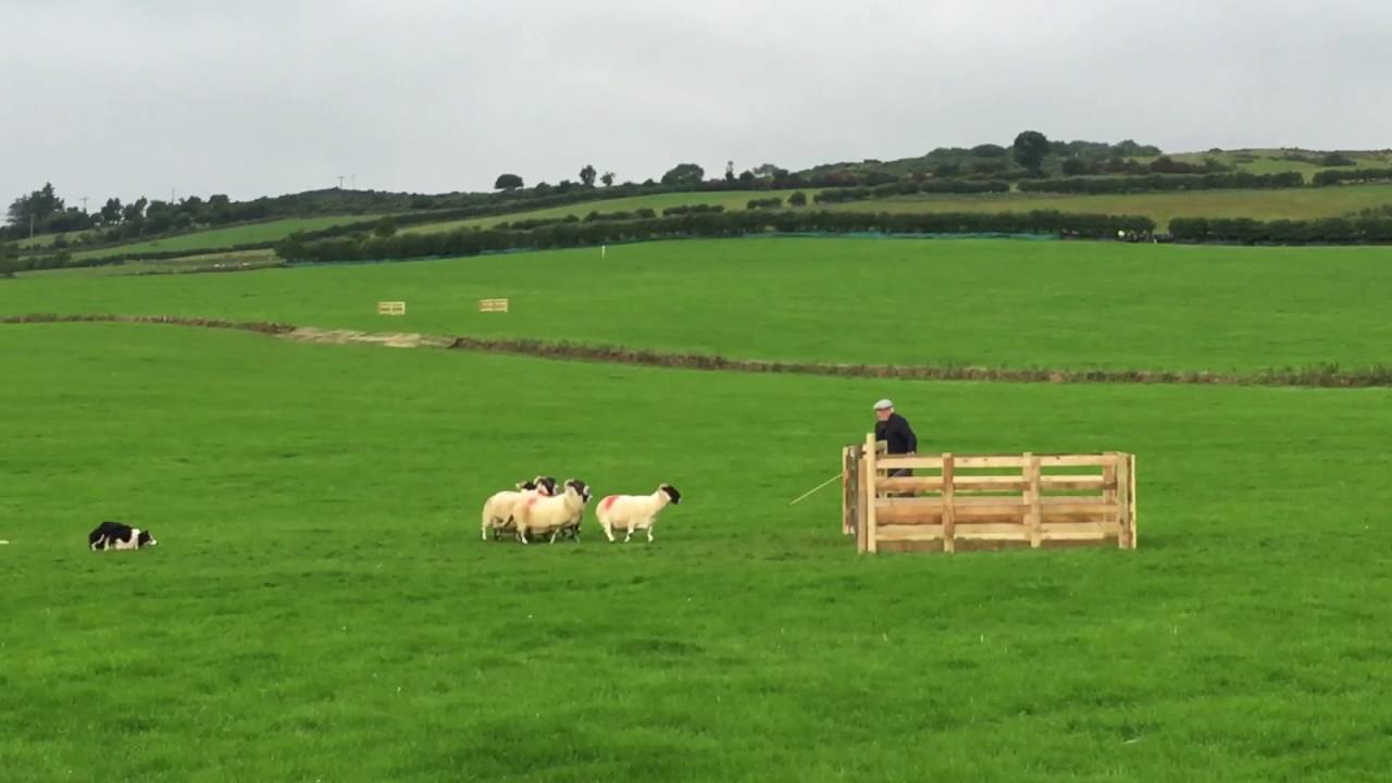 John Maginn and Mozz at the 2016 Irish National - YouTube