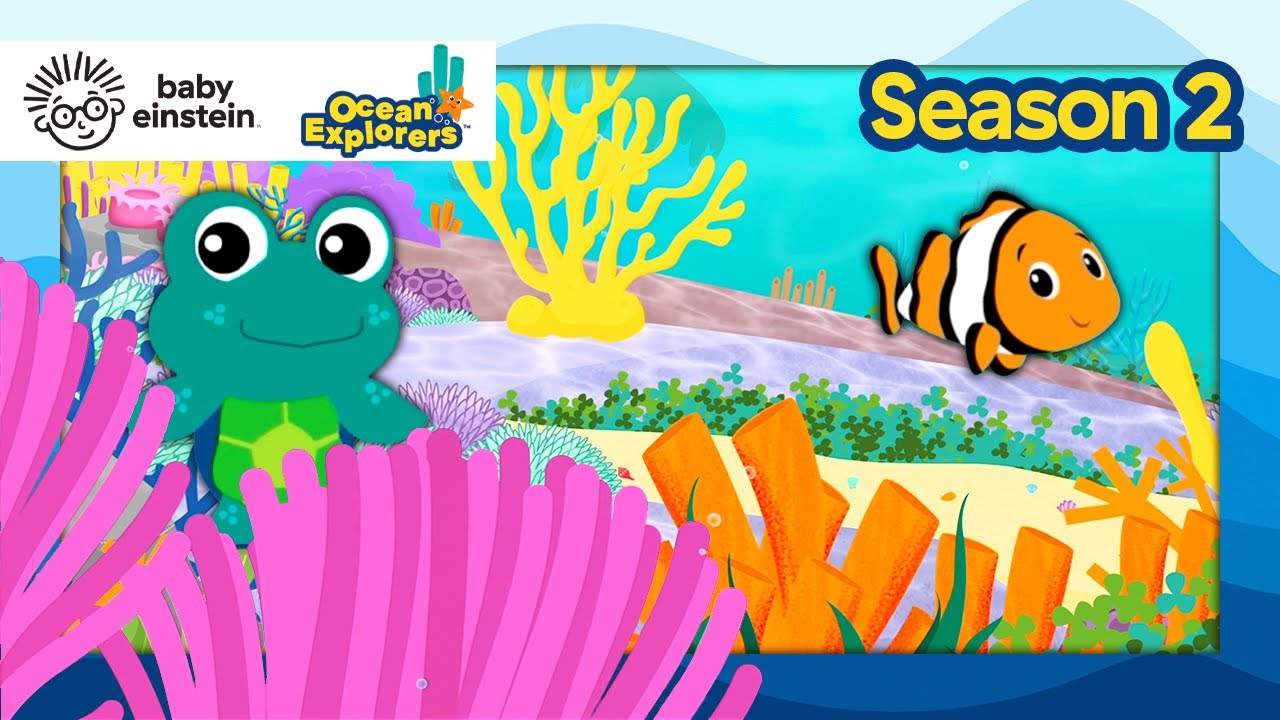 Let's Explore: Matching Colors in the Coral Reef! | Ocean Explorers ...