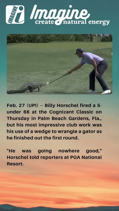 Golfer Billy Horschel uses wedge to wrangle gator at Cognizant Classic ...