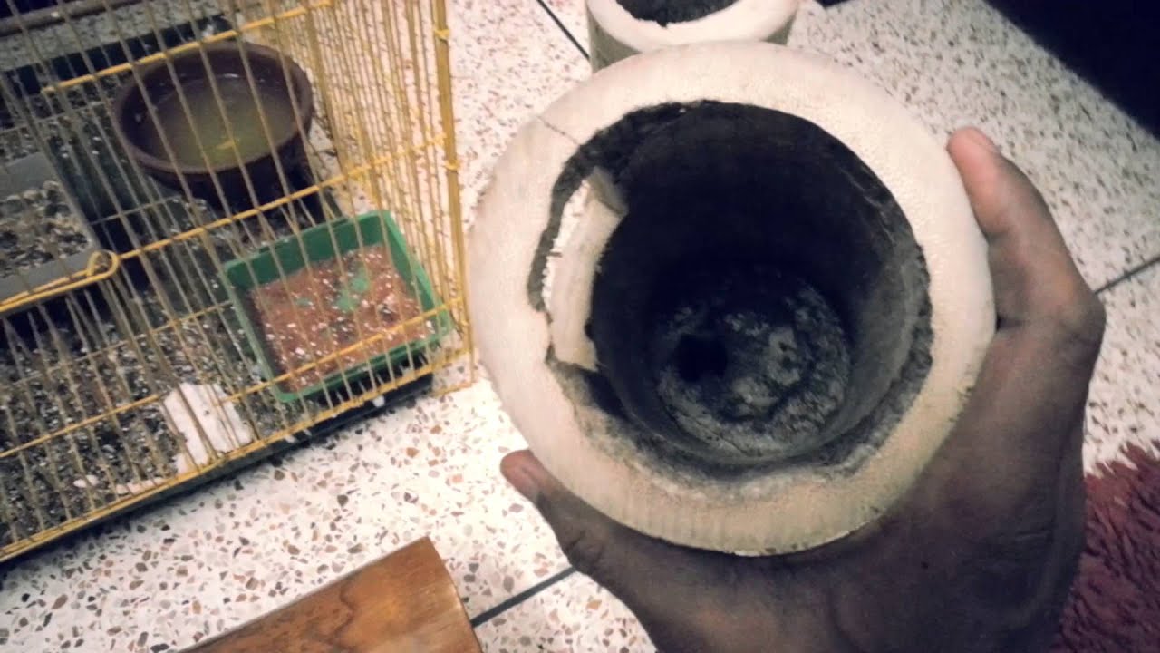 How To Build A Budgie Nest Box Using Bamboo YouTube How To Build A Budgie Nest Box Using Bamboo YouTube
