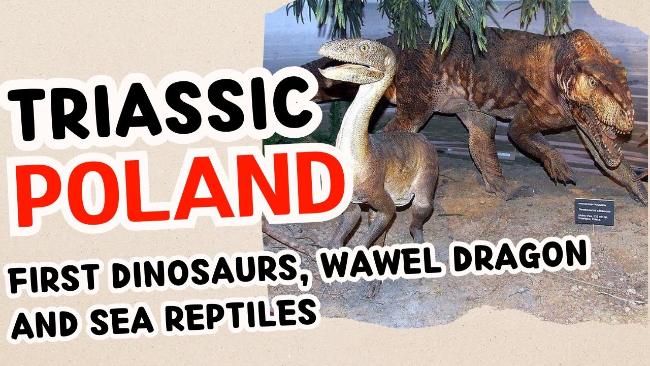 How did Poland look like 230 million years ago? First dinosaurs and the ...
