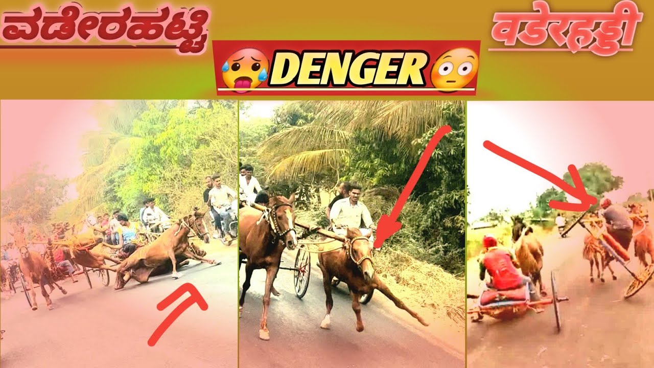 ಮೂಡಲಗಿ ತಾಲೂಕು ವಡೇರಹಟ್ಟಿ[ वडेरहड्डी जनरल घोड़ा गाड़ी]@ghodasharyat # ...