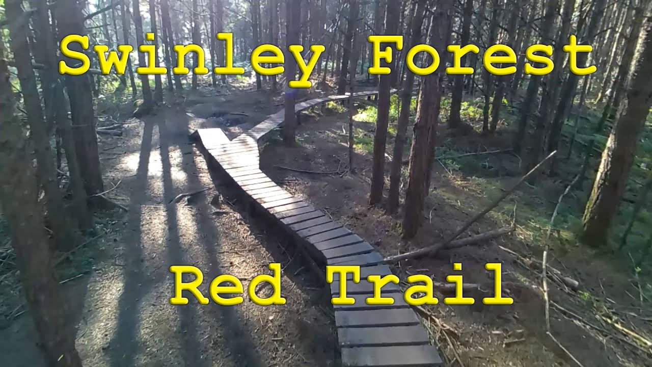 Swinley Forest Entire Red Trail - YouTube