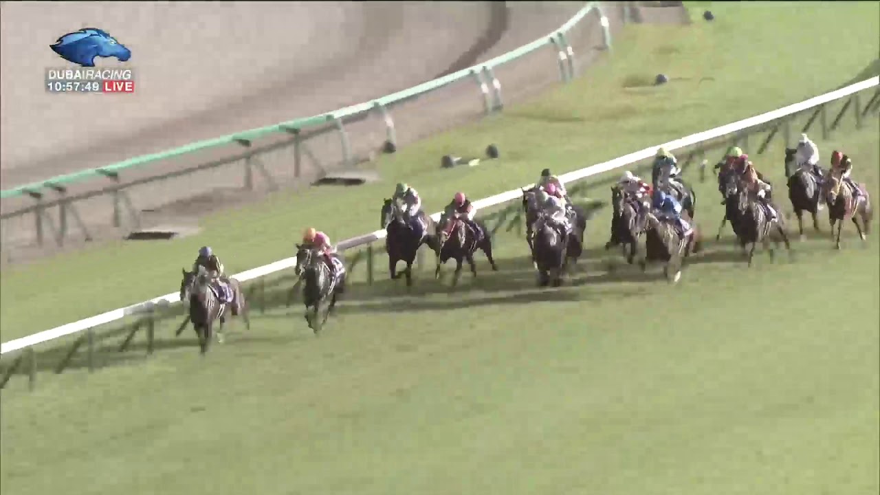 2019.09.29 Sprinters Stakes (JPN) - Tower of London - YouTube