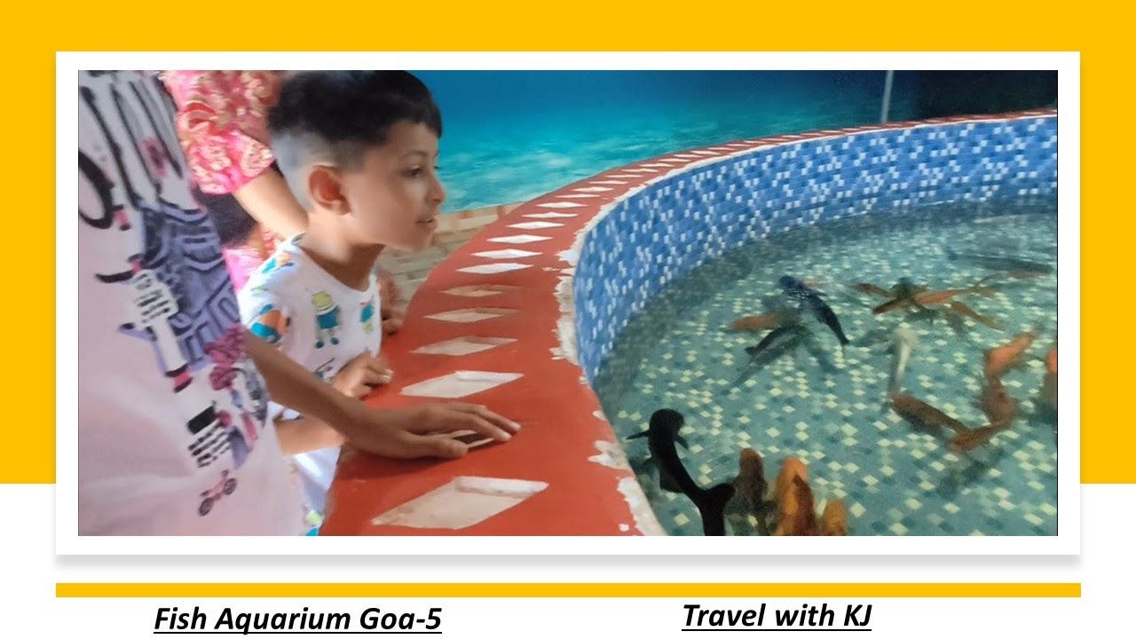 Fish Aquarium Goa | Goa with Family | Travel with KJ - YouTube