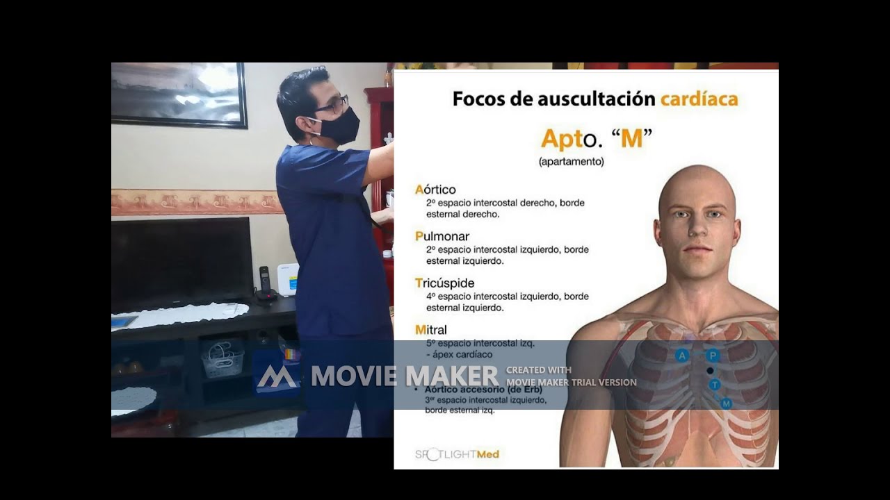 Evaluación de tórax y abdomen | Bates exploración física - YouTube