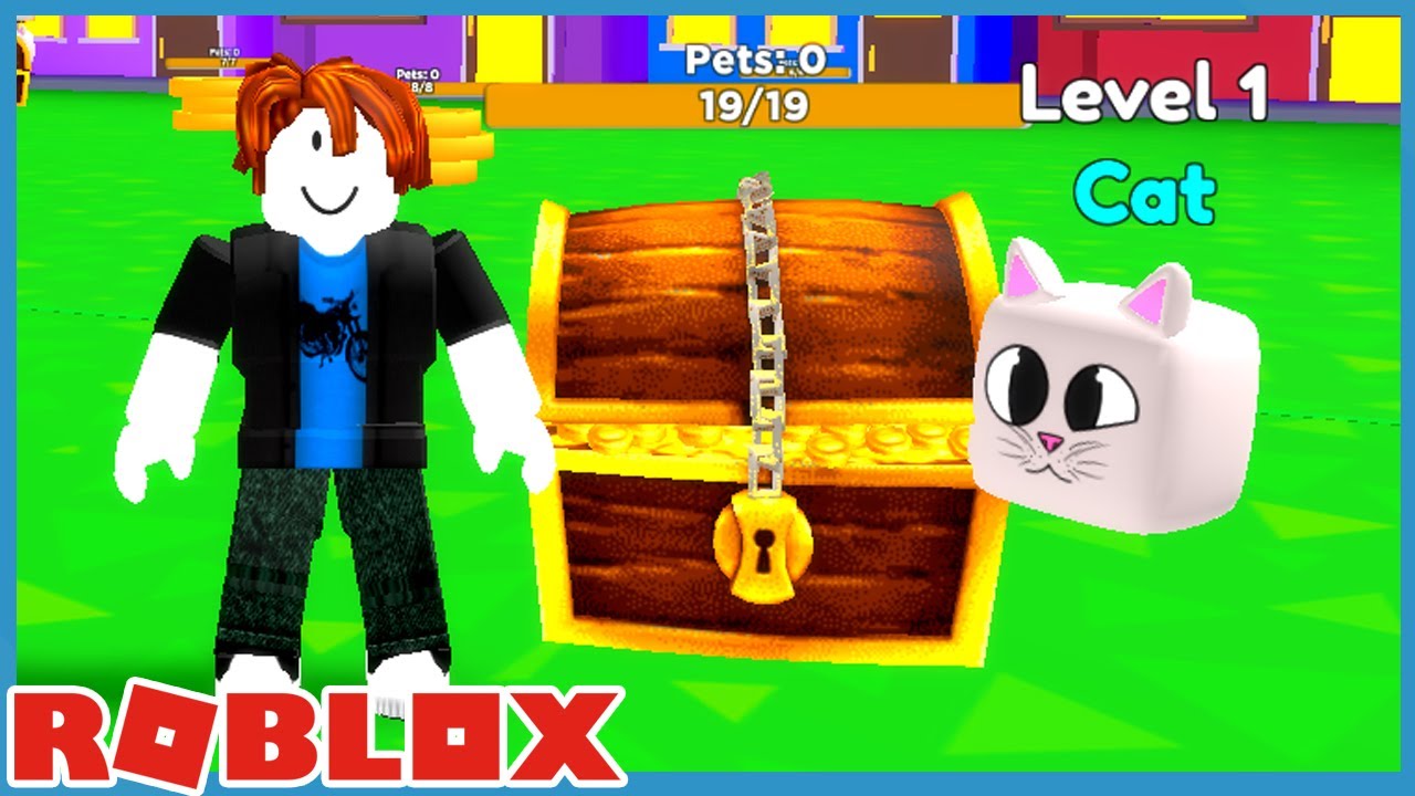 Noob VS Roblox Pet Masters - YouTube