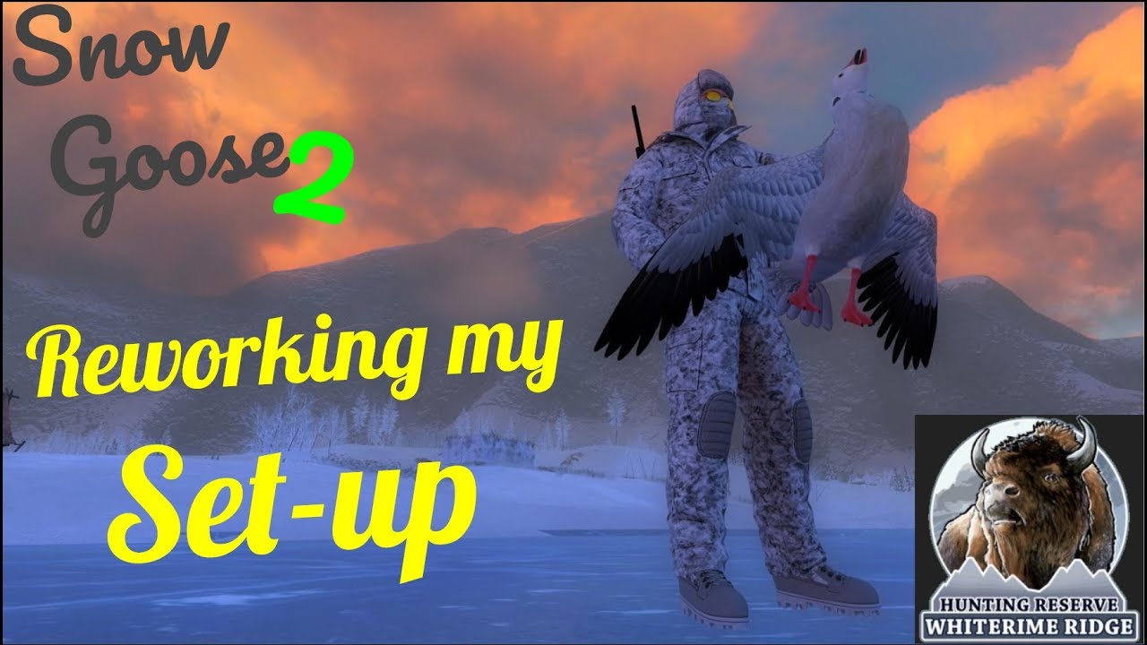 the Hunter: Snow Goose II (re-working my Set-up) - YouTube
