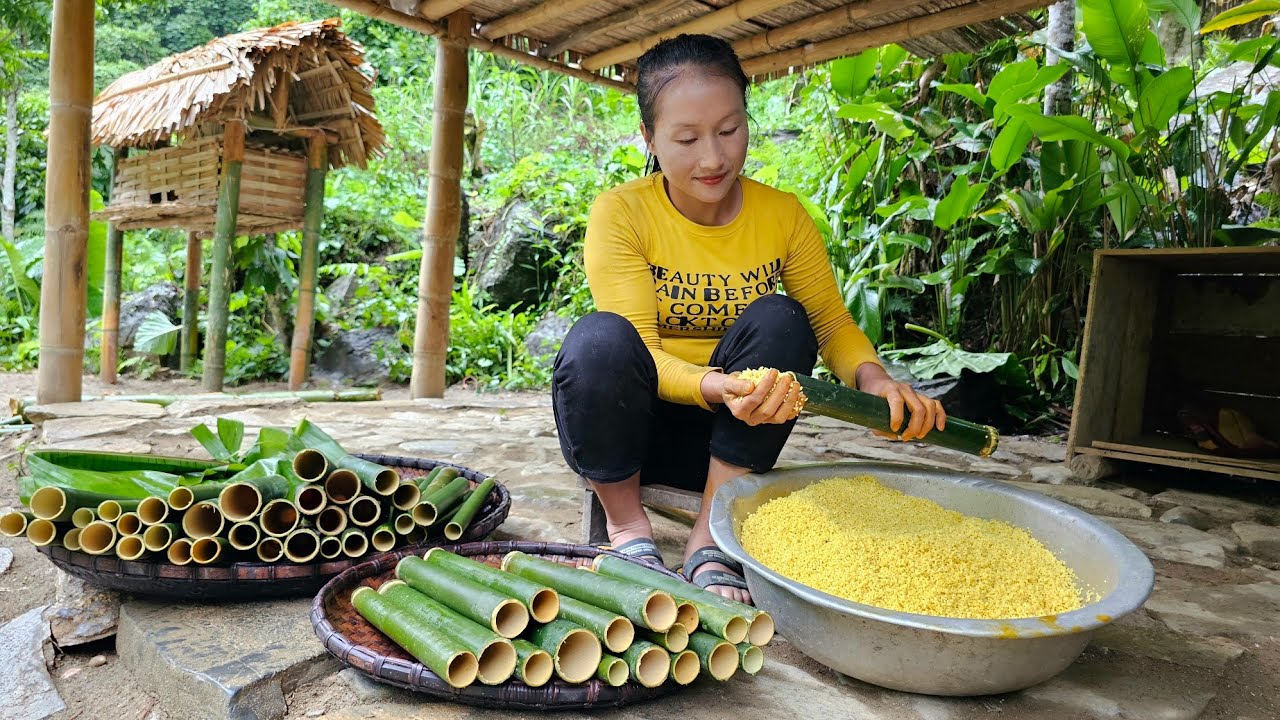 Harvesting bamboo - How to make lam rice from bamboo tubes goes to the ...