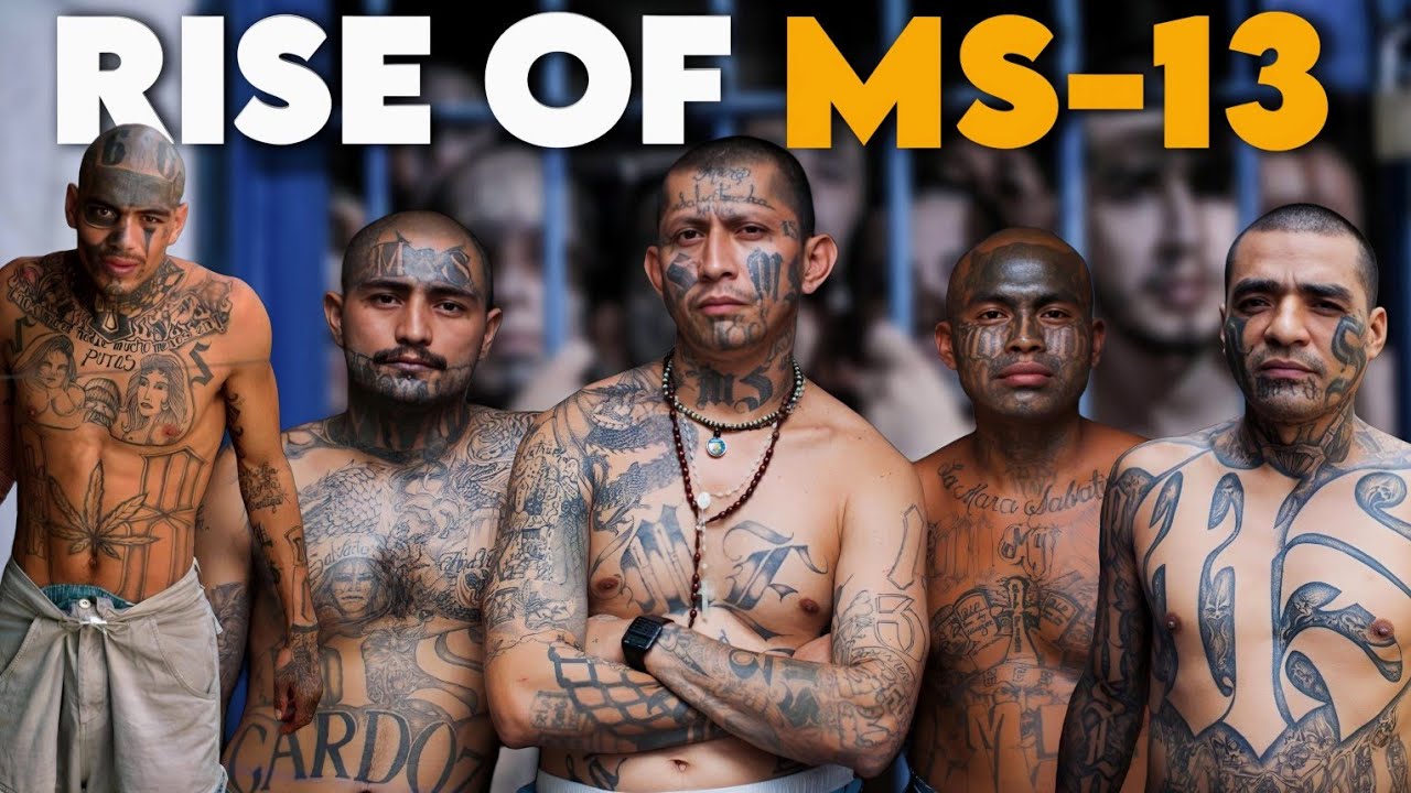 How MS 13 become World's Most Dangerous Gang #elsalvador #historyofgangs #ms13 - YouTube