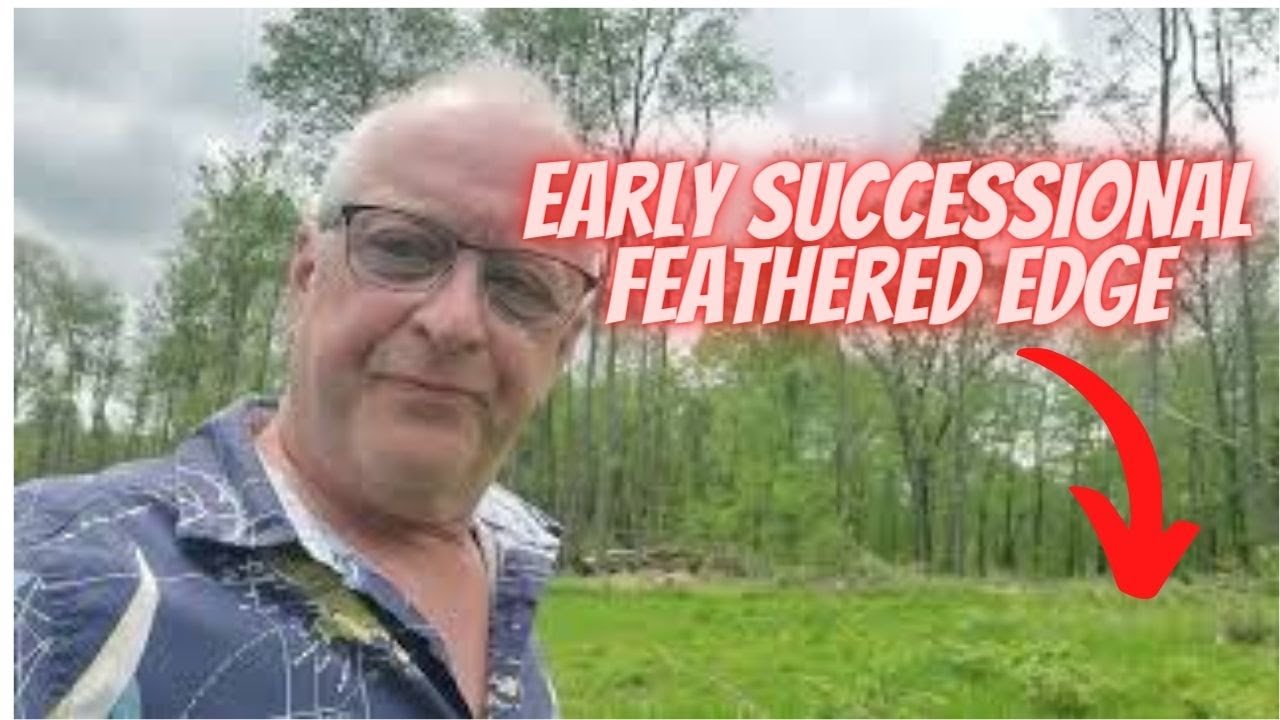Early Successional Food Plot Edges - YouTube