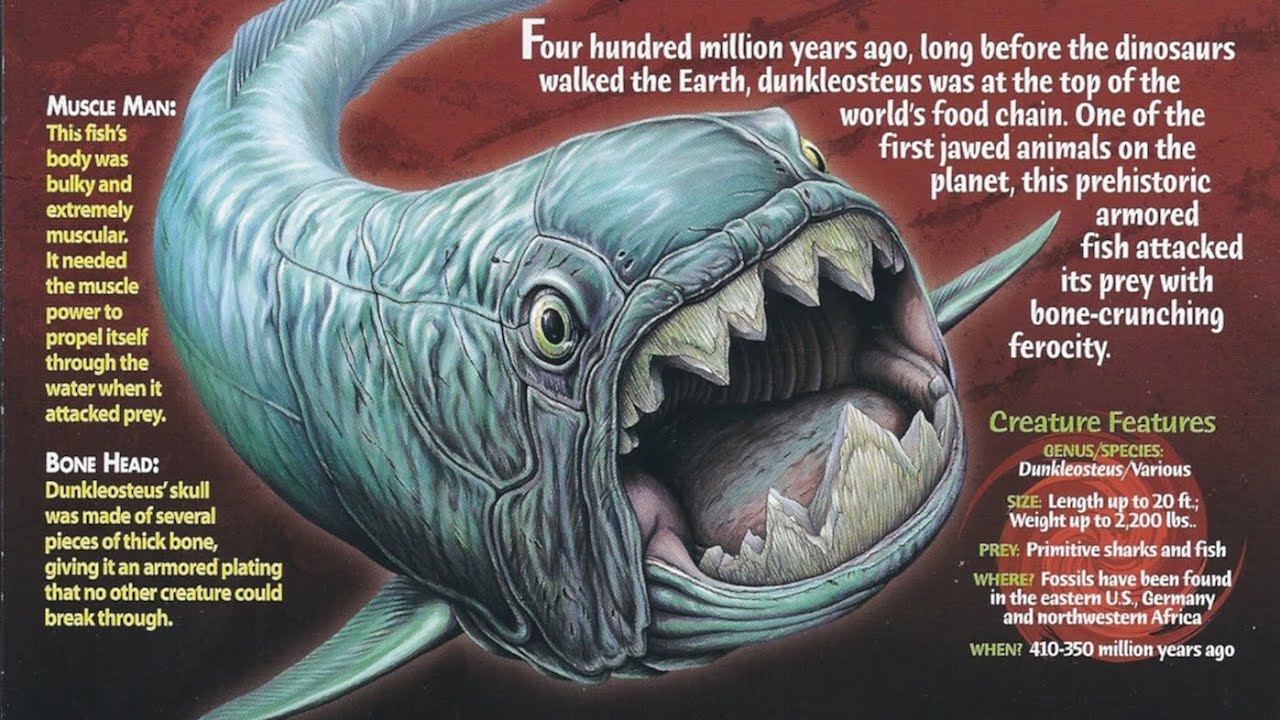 Monsters of the Past: Dunkleosteus - YouTube