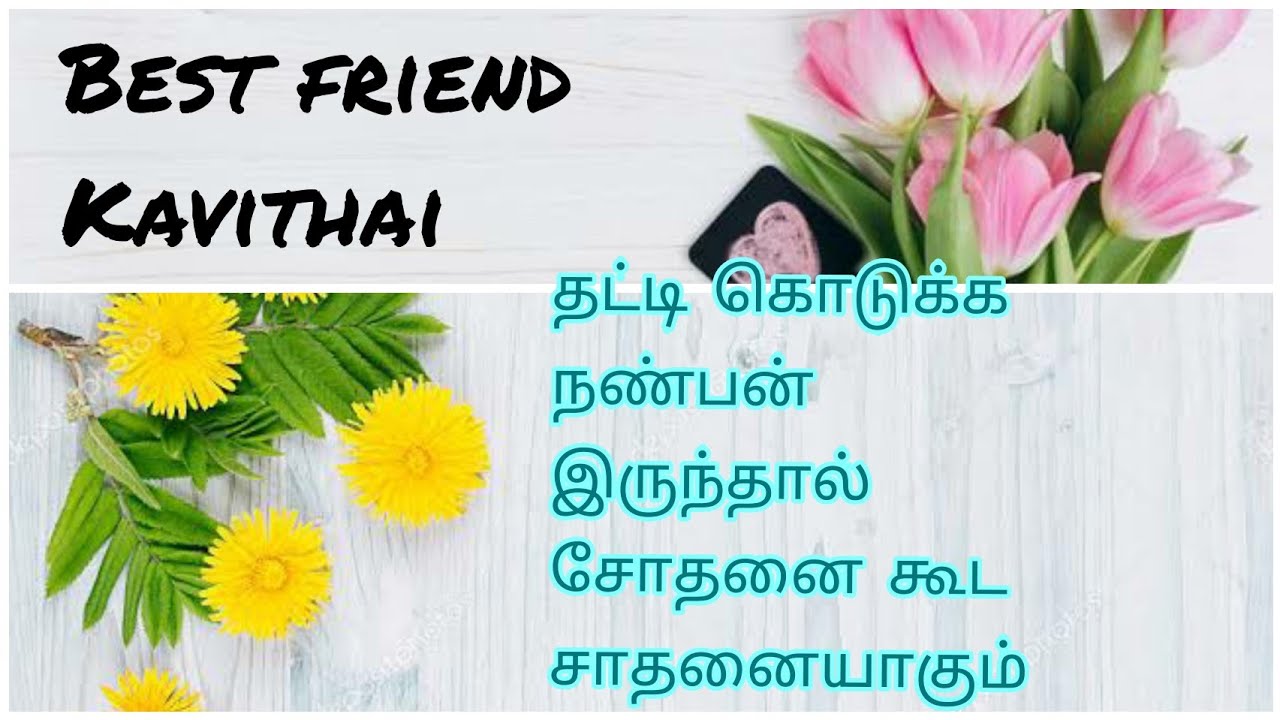 🤼🤼 Friendship Kavithai | friendship quotes in tamil | whatsapp friends ...