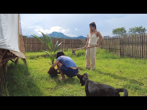 A Chinese farm girl’s vlog in Thailand-raining season - YouTube