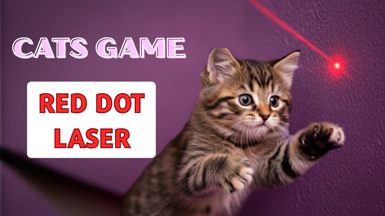 Cat TV | The Ultimate Laser Pointer Game for Cats! 🌟😺 | No Ads - YouTube