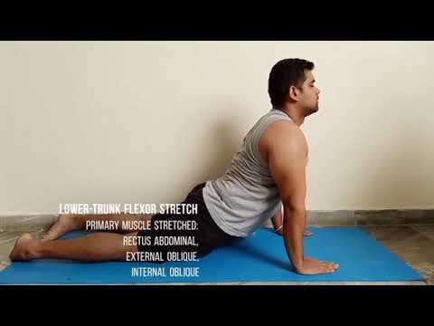 How to Perform Lower-Trunk Flexor Stretch | Abdominal Stretching ...
