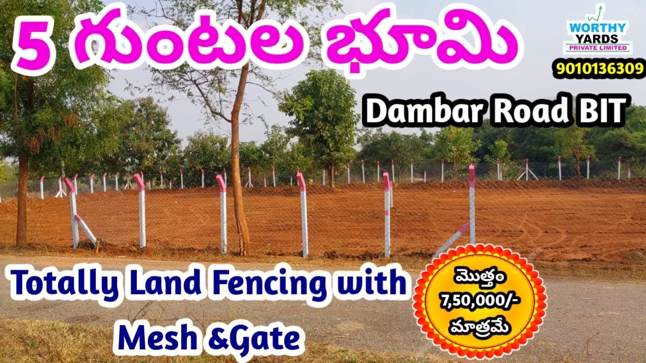 Agriculture Land For Sale | Dambar Road BIT |#agriculturelands # ...