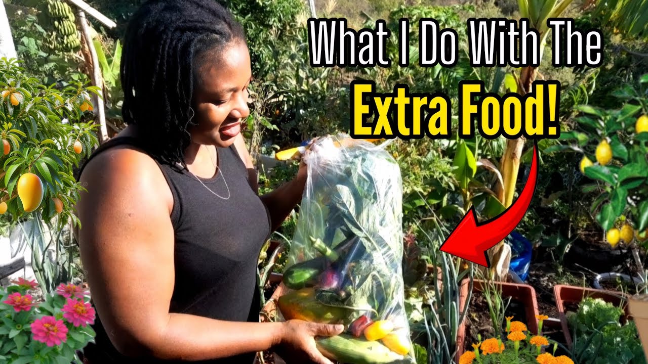 What I Do With The EXTRA FOOD From My Garden! - YouTube
