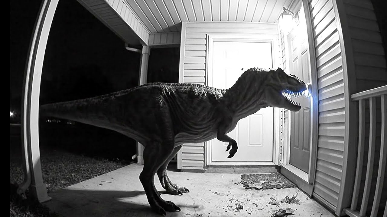 Strange Dinosaur Movement Recorded on Security Camera | Creepy Dinosaur ...