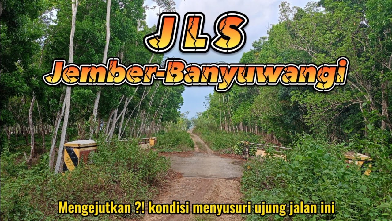 Seperti ini kondisi JLS Jember-Banyuwangi TERBARU jalan yang belum di ...