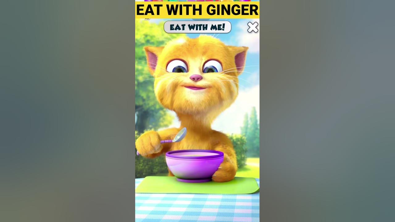 My Talking Ginger 2 Eat With Ginger 2 πππ₯¬π₯πππ₯¦π₯π«π₯₯ππ₯ππ Youtube