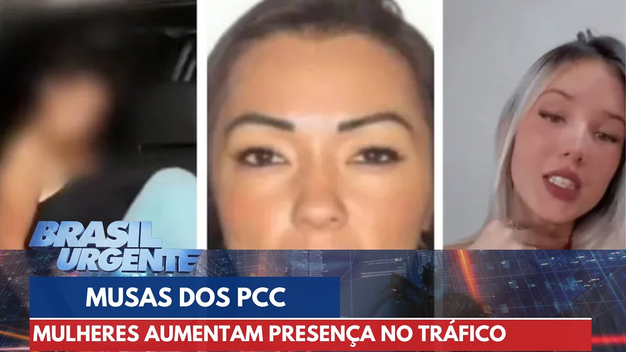 Bonitas e bandidas: mulheres aumentam presença em organizações ...