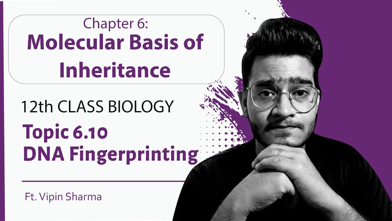 Topic 6.10 DNA Fingerprinting | Molecular Basis of Inheritance |12th ...