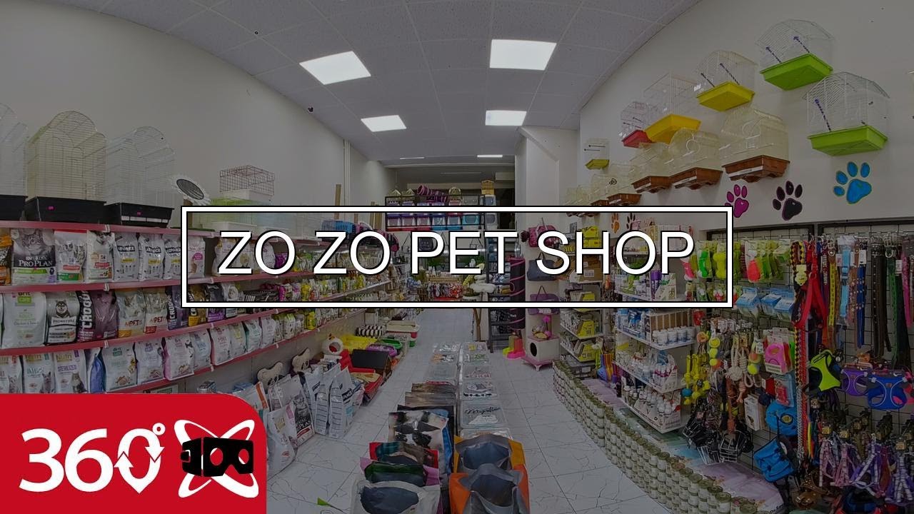 ZO ZO PET SHOP - YouTube