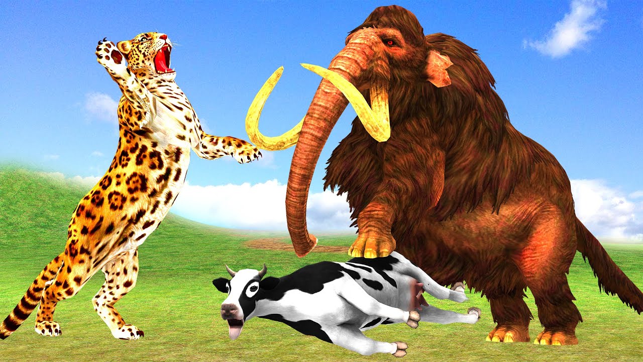 Furry Mammoth Vs Mountain Leopard Animal Fight | Leopard Attack Cow ...