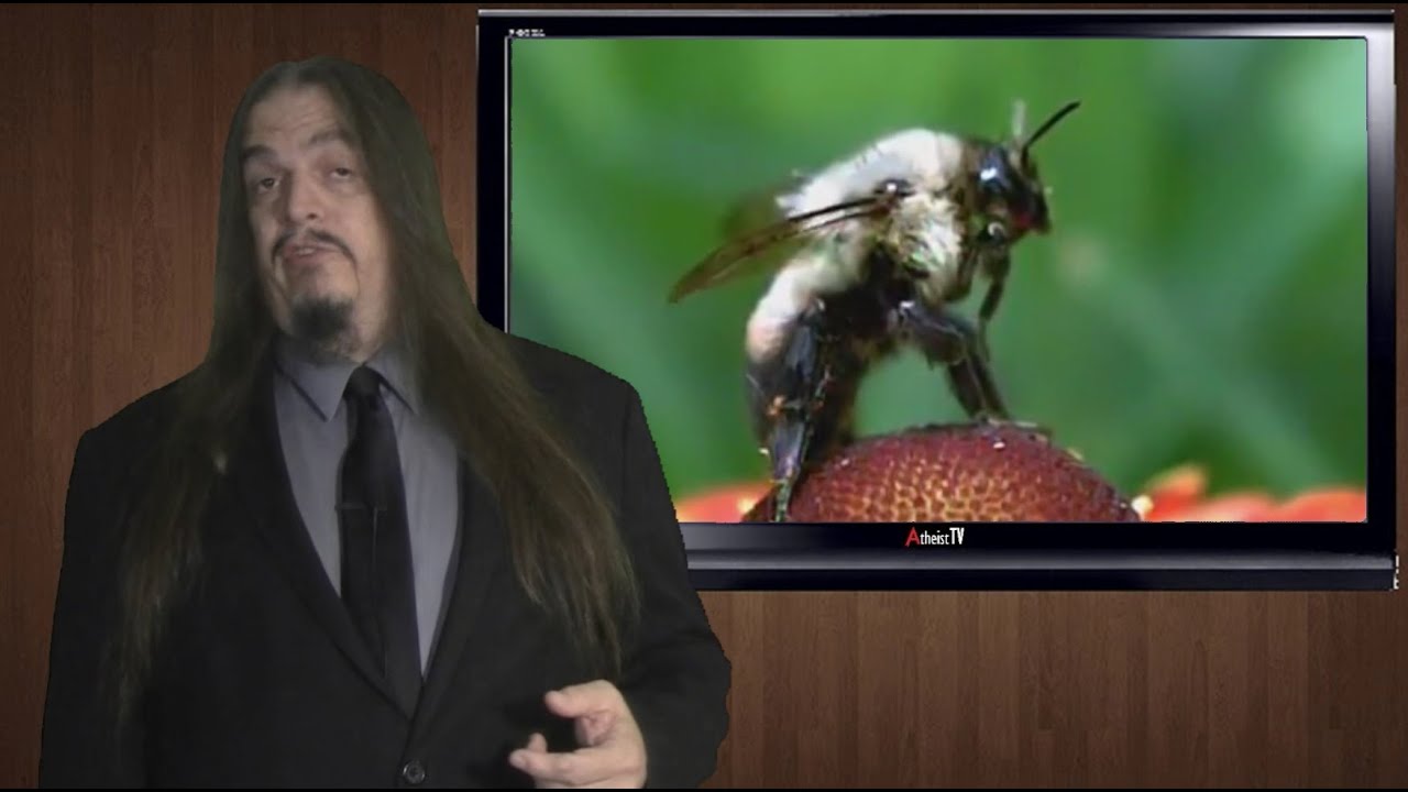 Refuting The Irrefutable Proof Of God Part XI YouTube refuting-the-irrefutable-proof-of-god-part-xi-youtube